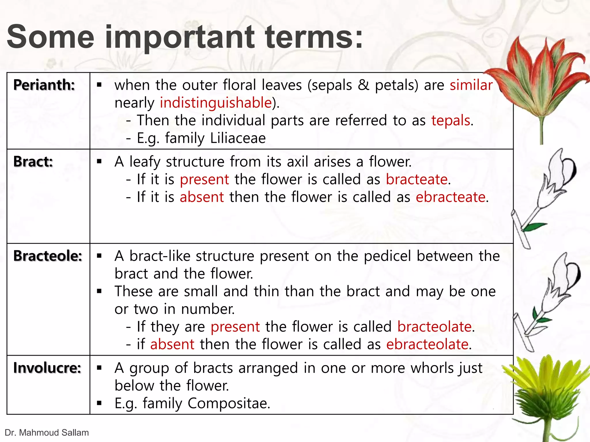 Flowers: Introduction , clove | PPTX