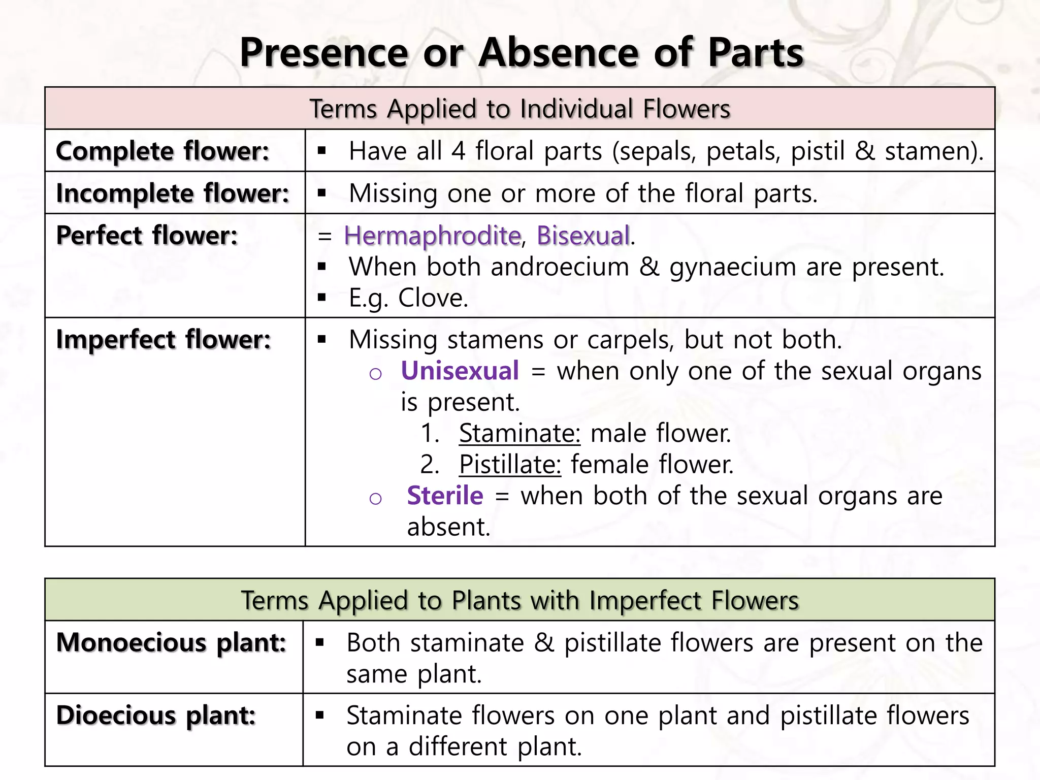 Flowers: Introduction , clove | PPTX