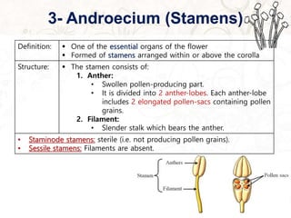 Flowers: Introduction , clove | PPTX