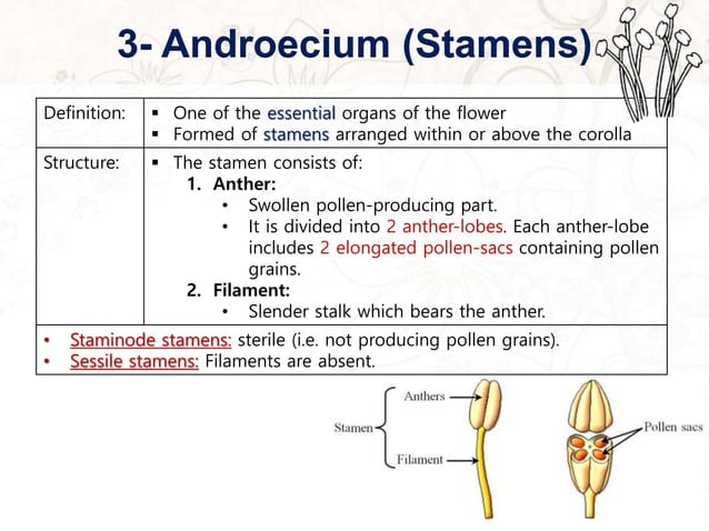 Flowers: Introduction , clove | PPTX