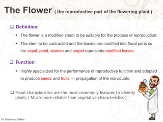 Flowers: Introduction , clove | PPTX