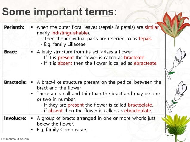 Flowers: Introduction , clove | PPTX