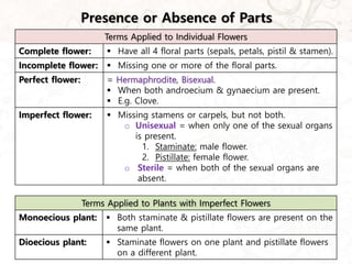 Flowers: Introduction , clove | PPTX
