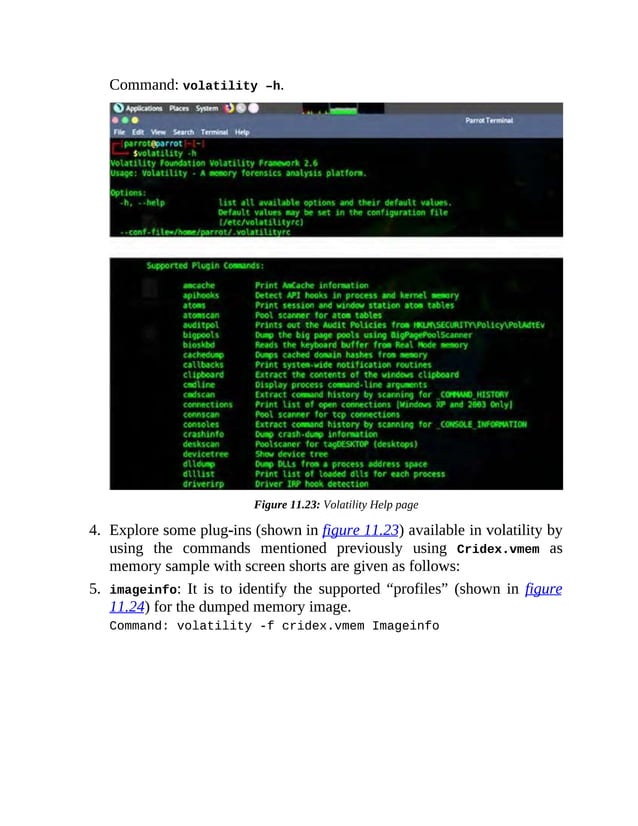 Digital Forensics Lab Experiment 13 Memory Forensics | PDF