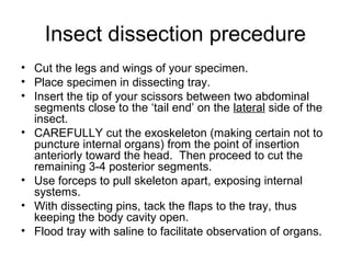 Lab13 entomology | PPT