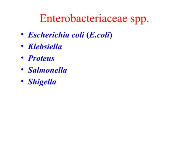 lab 14- Ecoli & Kleb 22. enterobacteriace pptx | PPT