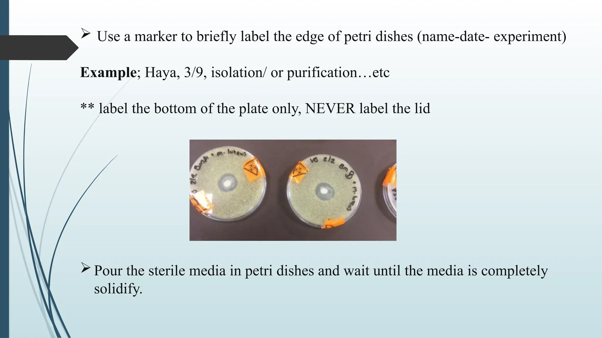 Lab 1 470-H.pptx medical mycology lecture | PPTX