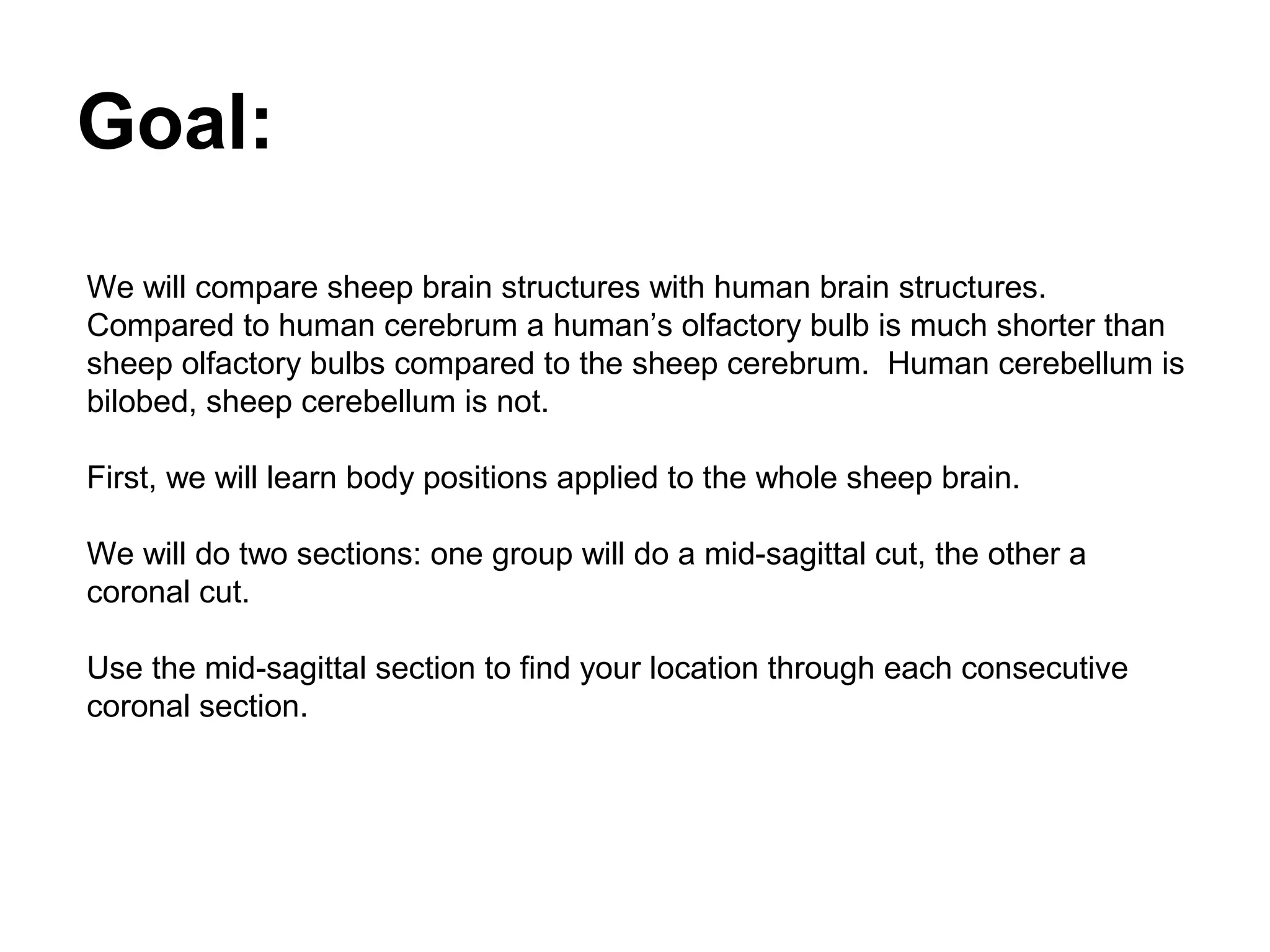 Lab 14 Sheepbraindiss 2 | PPT