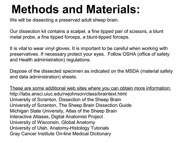 Lab 14 Sheepbraindiss 2 | PPT