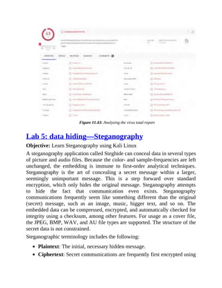 Digital Forensics Lab 15 Data Hiding Stenography | PDF