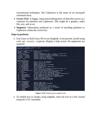 Digital Forensics Lab 15 Data Hiding Stenography | PDF