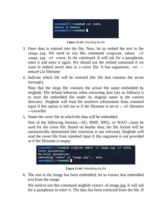 Digital Forensics Lab 15 Data Hiding Stenography | PDF