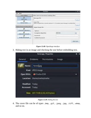 Digital Forensics Lab 15 Data Hiding Stenography | PDF