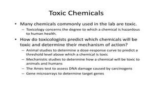 GBSN - Biochemistry (Lab 1) Biochemistry Lab Safety Procedures | PPT