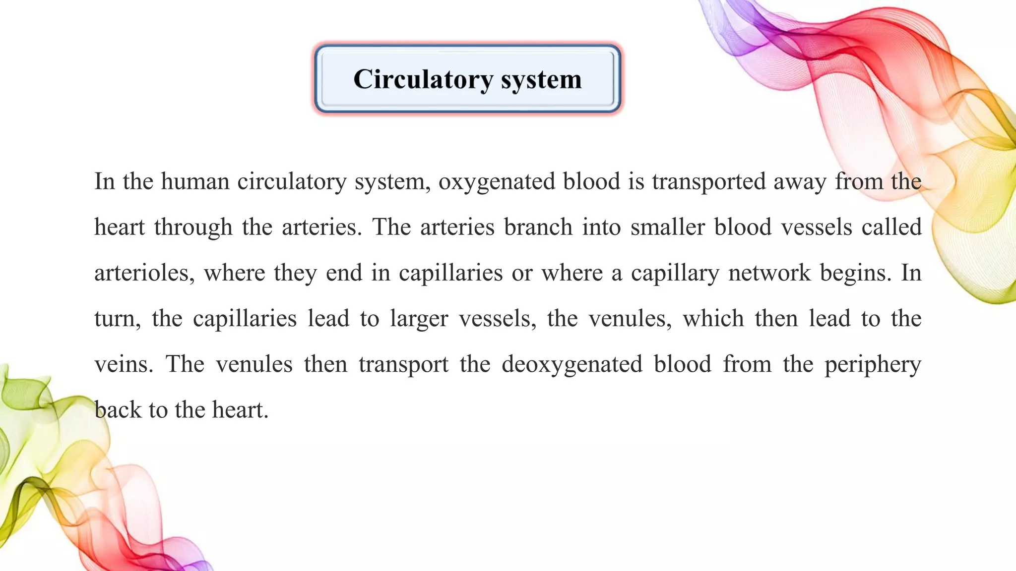 Lab 1 Circulatory system.pdf