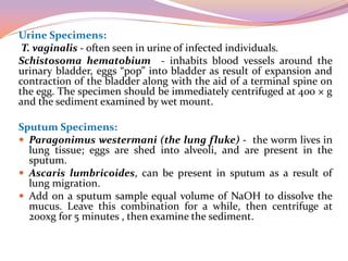 lab_1introduction_and_diagnosis_of_parasite.pdf