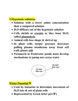 Lab 1 notes osmosis smartboard | DOC