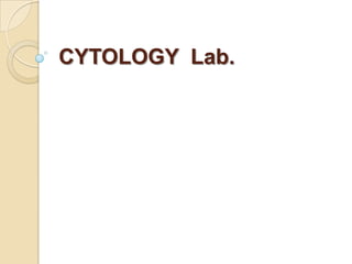 Lab 1st year cytology | PPT