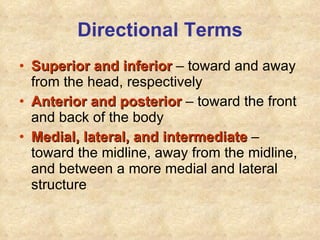 Lab 1 the human body | PPT