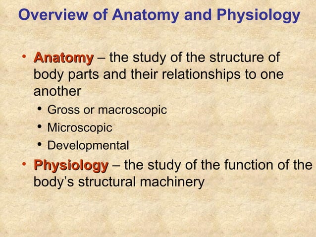 Lab 1 the human body | PPT | Biological Sciences | Science