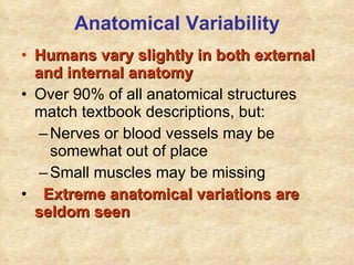 Lab 1 the human body | PPT