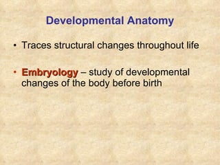 Lab 1 the human body | PPT