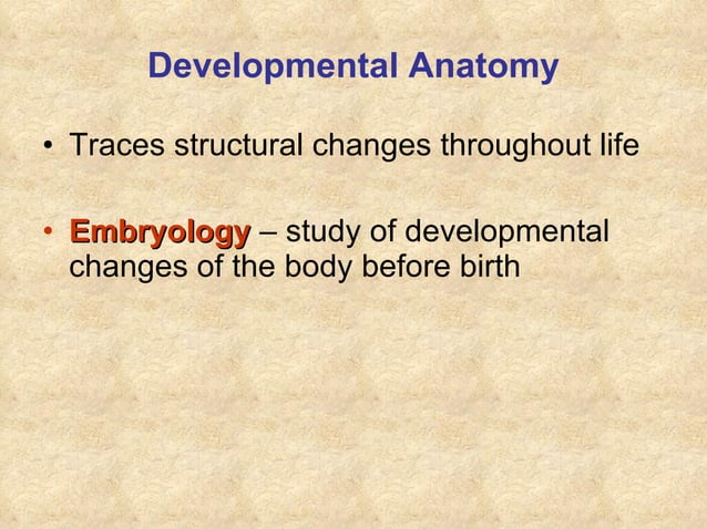 Lab 1 the human body | PPT | Biological Sciences | Science