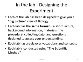 Lab 1 – the scientific method and termite trails fall 2014 | PPTX