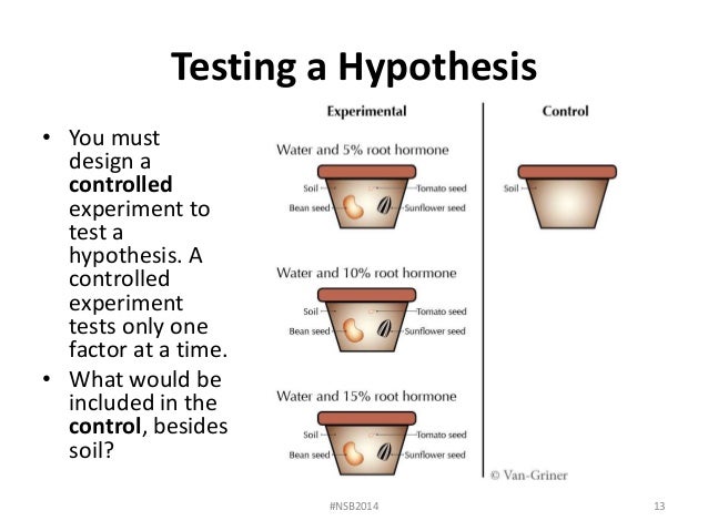 Lab 1 – the scientific method and termite trails fall 2014