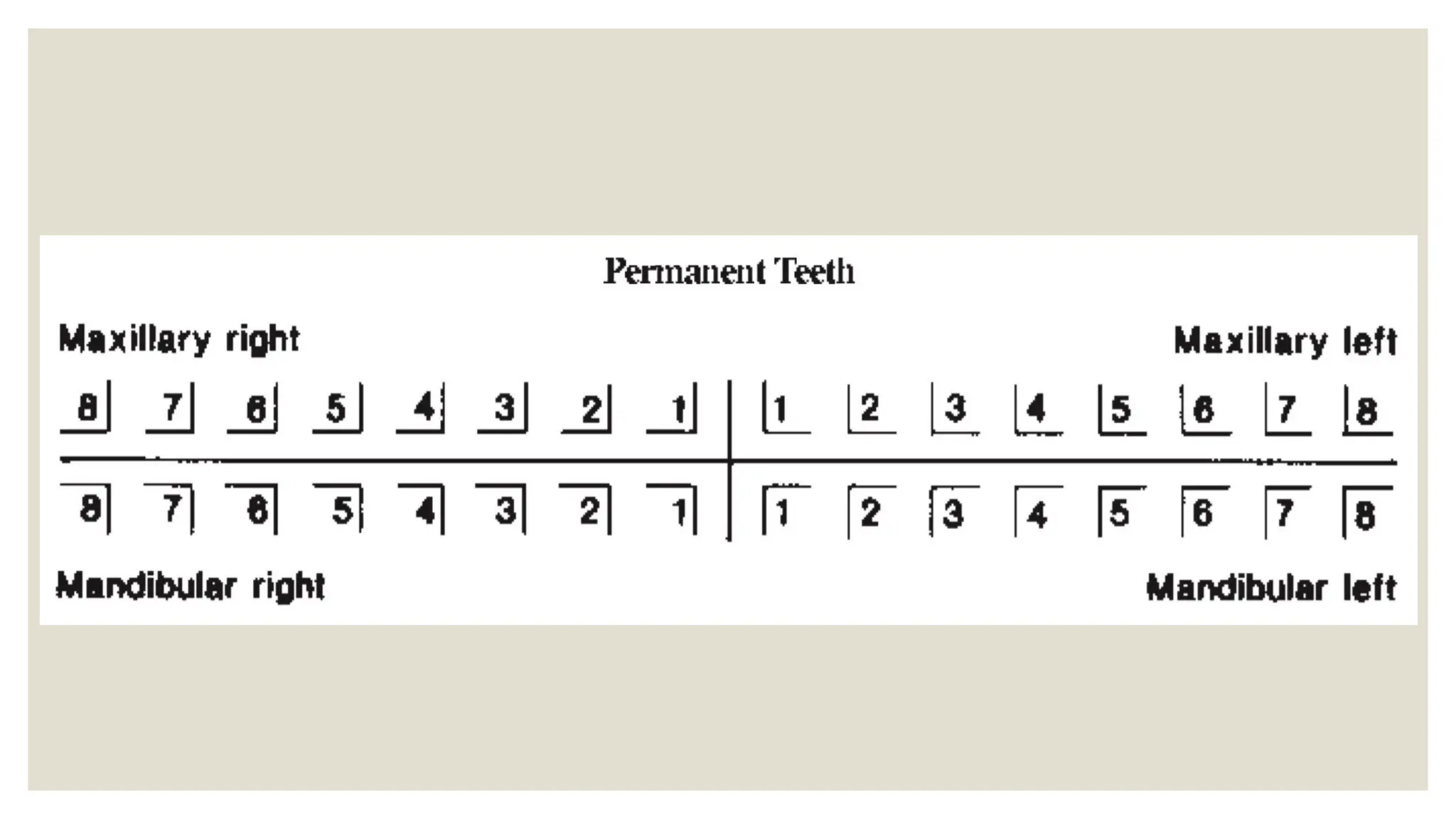 lab 1 tooth numbering system, designes and method | PPTX