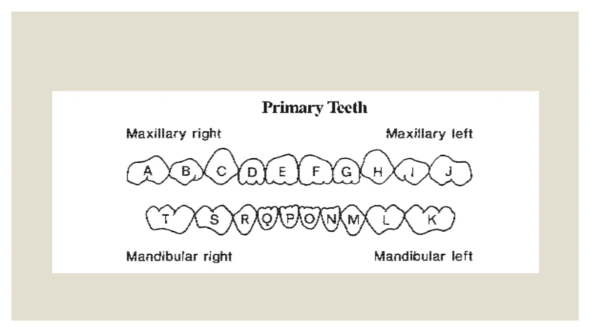 lab 1 tooth numbering system, designes and method | PPTX
