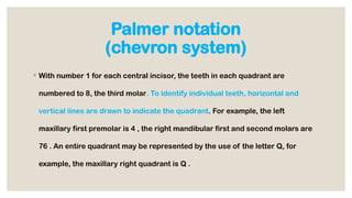 lab 1 tooth numbering system, designes and method | PPTX
