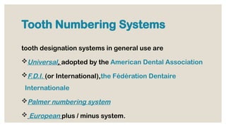 lab 1 tooth numbering system, designes and method | PPTX