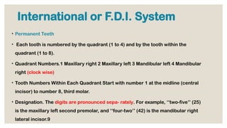 lab 1 tooth numbering system, designes and method | PPTX