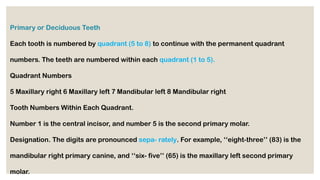 lab 1 tooth numbering system, designes and method | PPTX