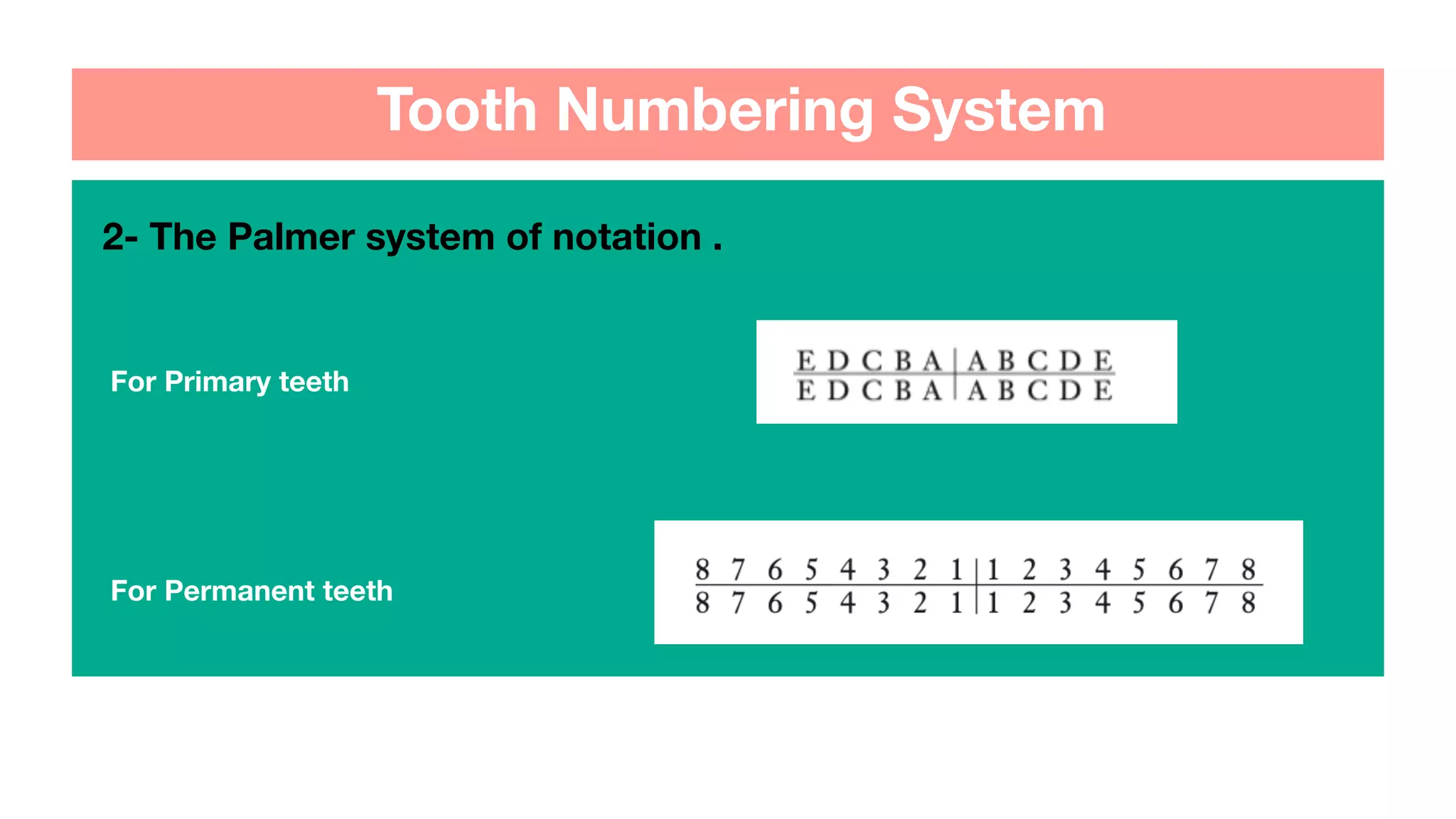 Dental Anatomy | Lab 2 | PDF
