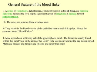 lab of medical and health sciences by Abd Al Salam Najm | PPT