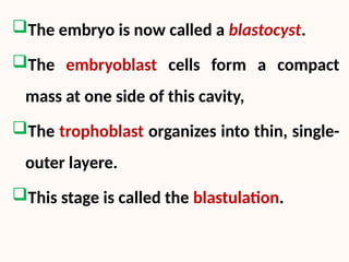 first and second week of development of embrylogy | PPT