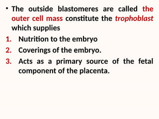 first and second week of development of embrylogy | PPT