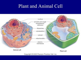 Lab 2 cell structure and microscopy | PPT