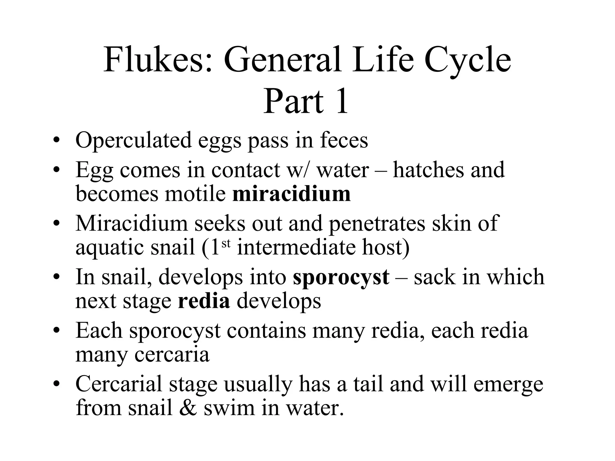 Parasitology lab notes | PPT