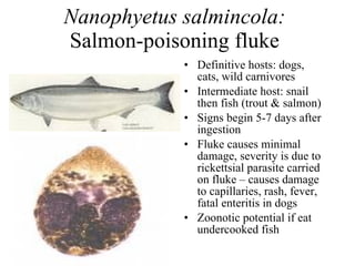 Parasitology lab notes | PPT