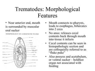 Parasitology lab notes | PPT