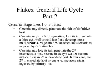 Parasitology lab notes | PPT