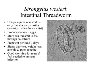 parasitology lab notes | PPT