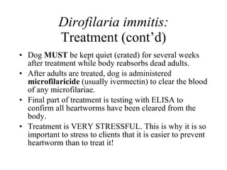 Parasitology lab notes | PPT