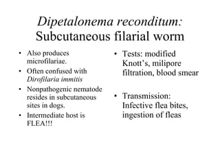 Parasitology lab notes | PPT
