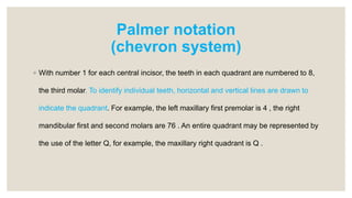 community dentistry Lab 2,3 | PPTX