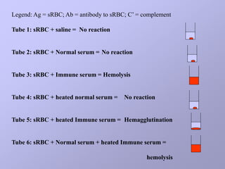 Lab23-Immunology2.ppt