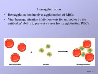 Lab23-Immunology2.ppt